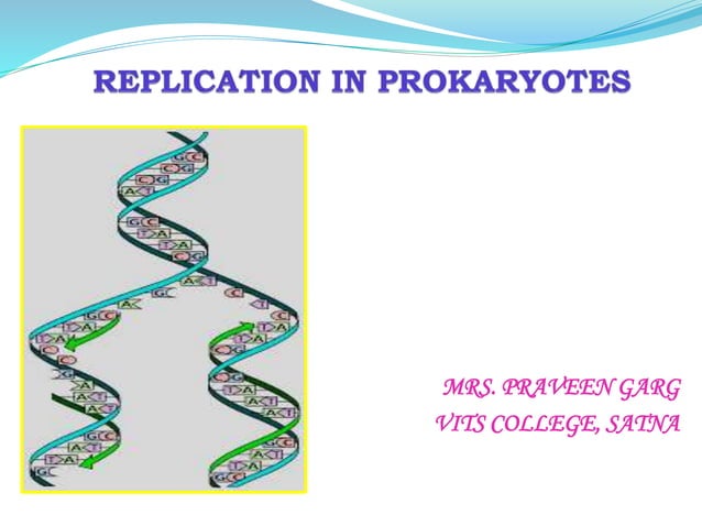 Replication in prokaryotes | PPTX