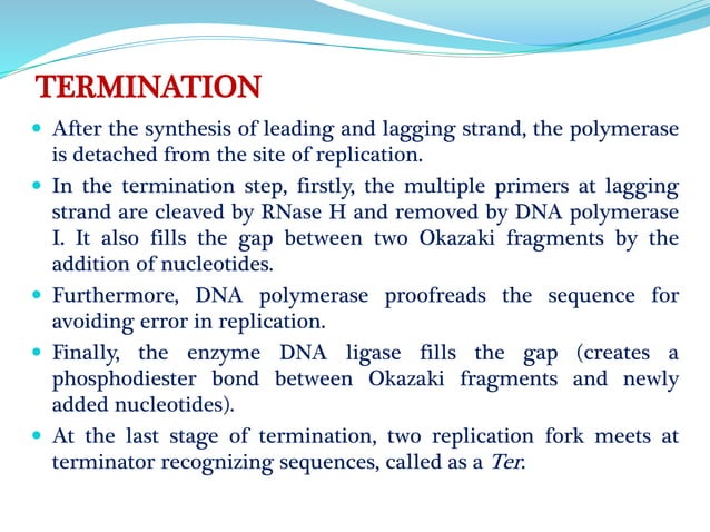 Replication in prokaryotes | PPT