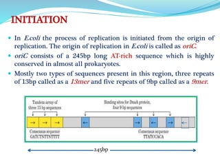 Replication in prokaryotes | PPTX