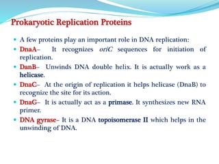 Replication in prokaryotes | PPTX