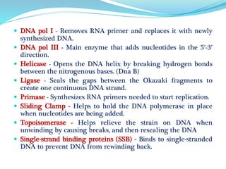Replication in prokaryotes | PPTX