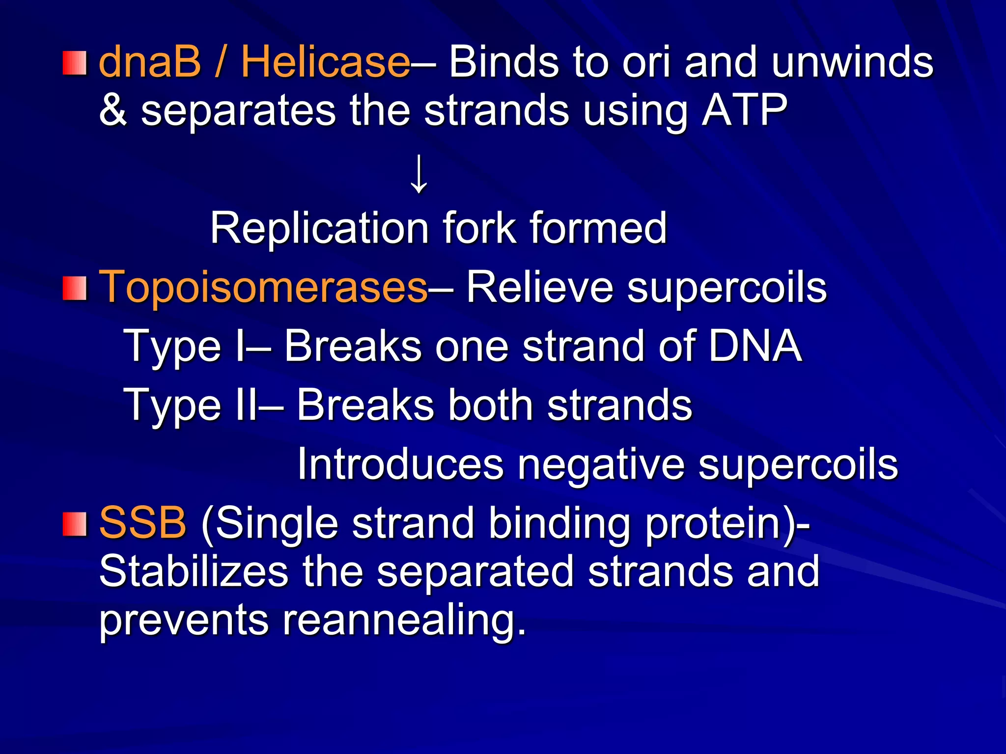 Replication of DNA | PPTX