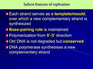 Replication of DNA | PPTX