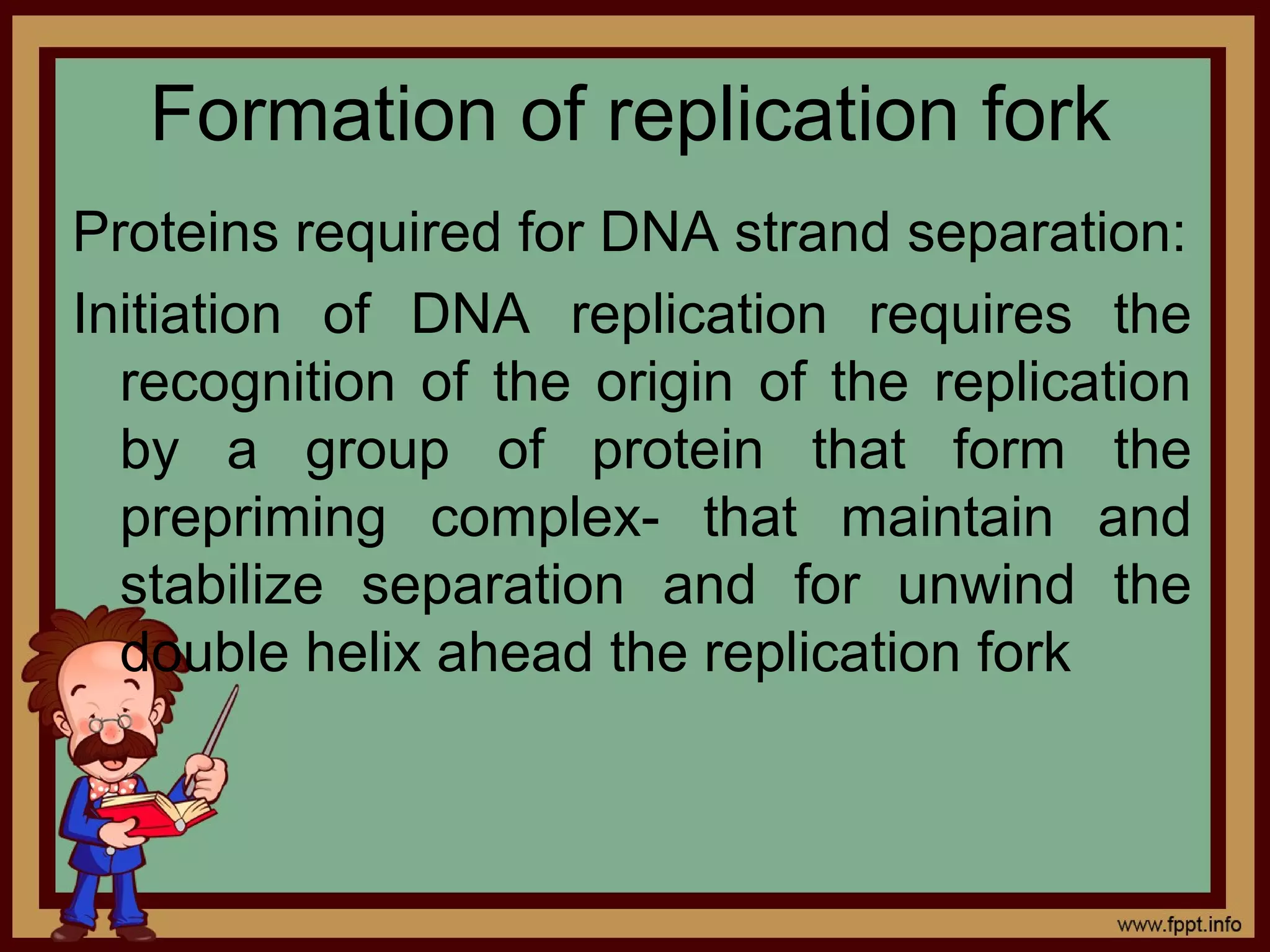 Replication of DNA | PPT