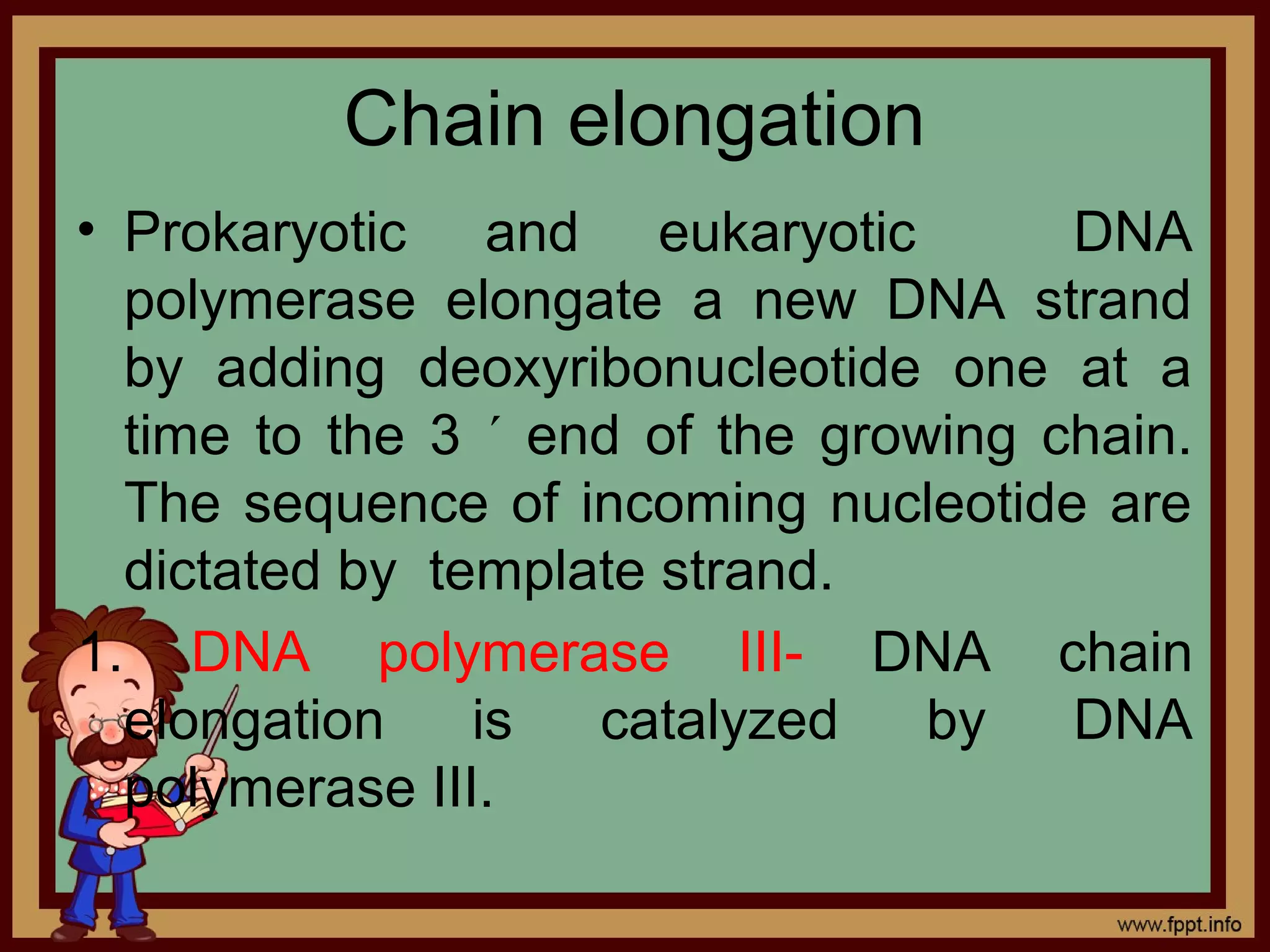 Replication of DNA | PPT
