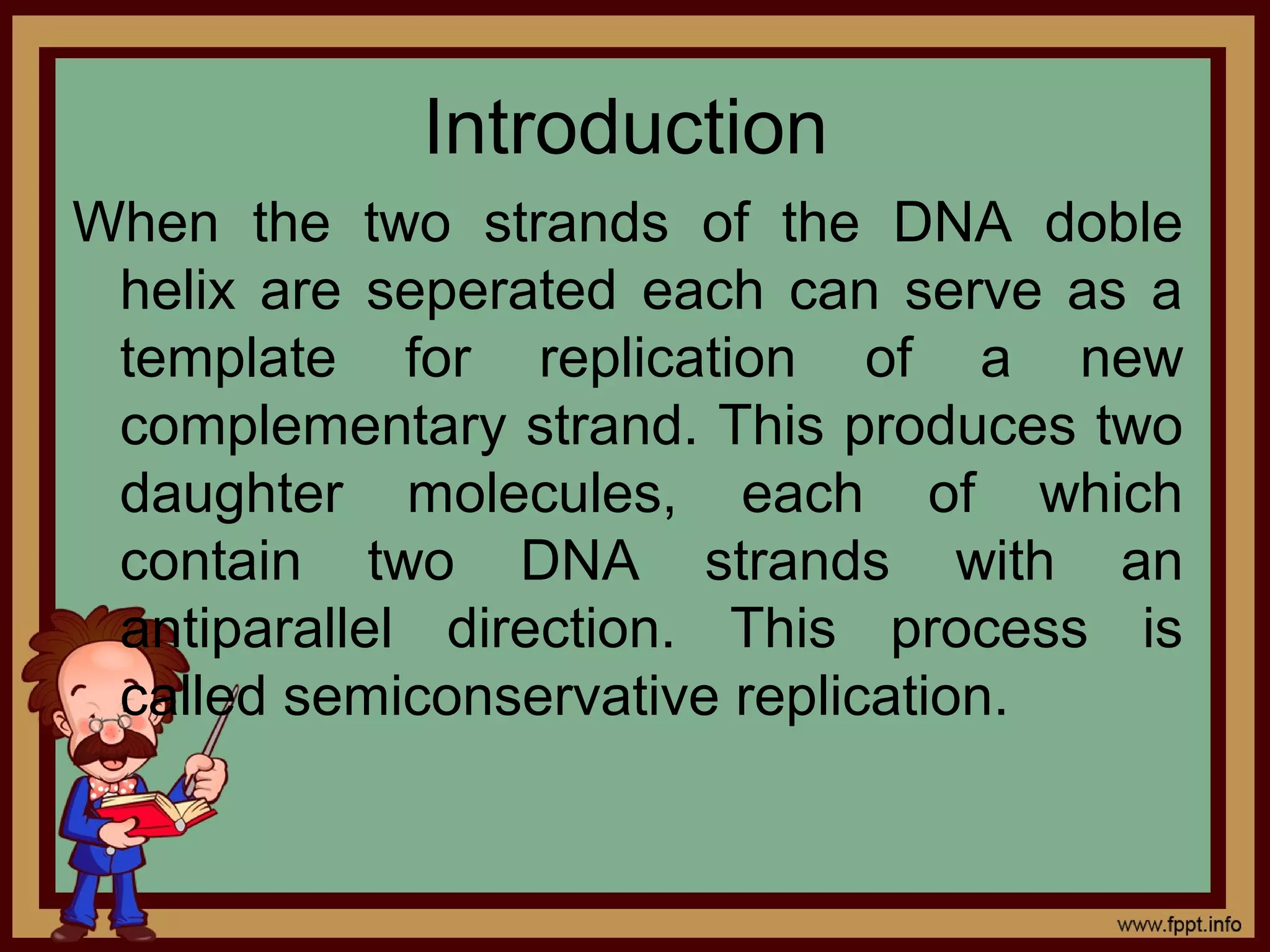 Replication of DNA | PPT