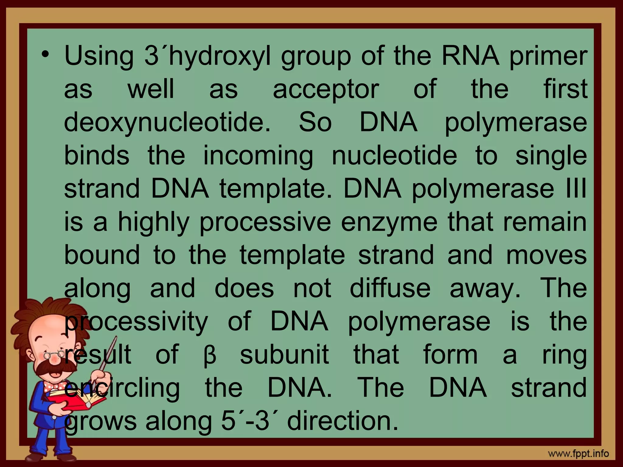 Replication of DNA | PPT