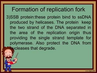 Replication of DNA | PPT