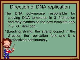 Replication of DNA | PPT