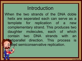 Replication of DNA | PPT