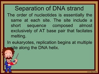 Replication of DNA | PPT