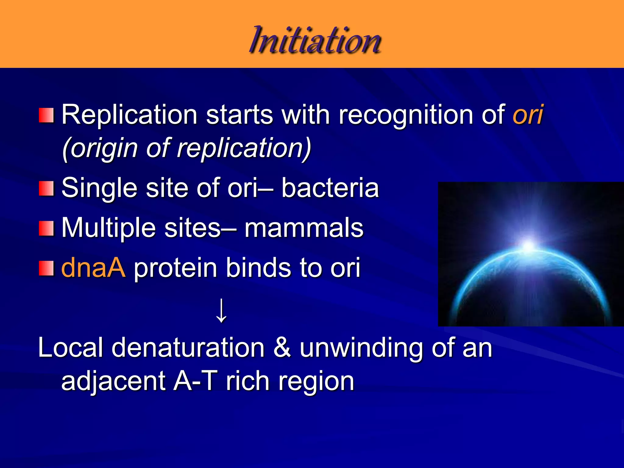 Replication of dna | PPTX