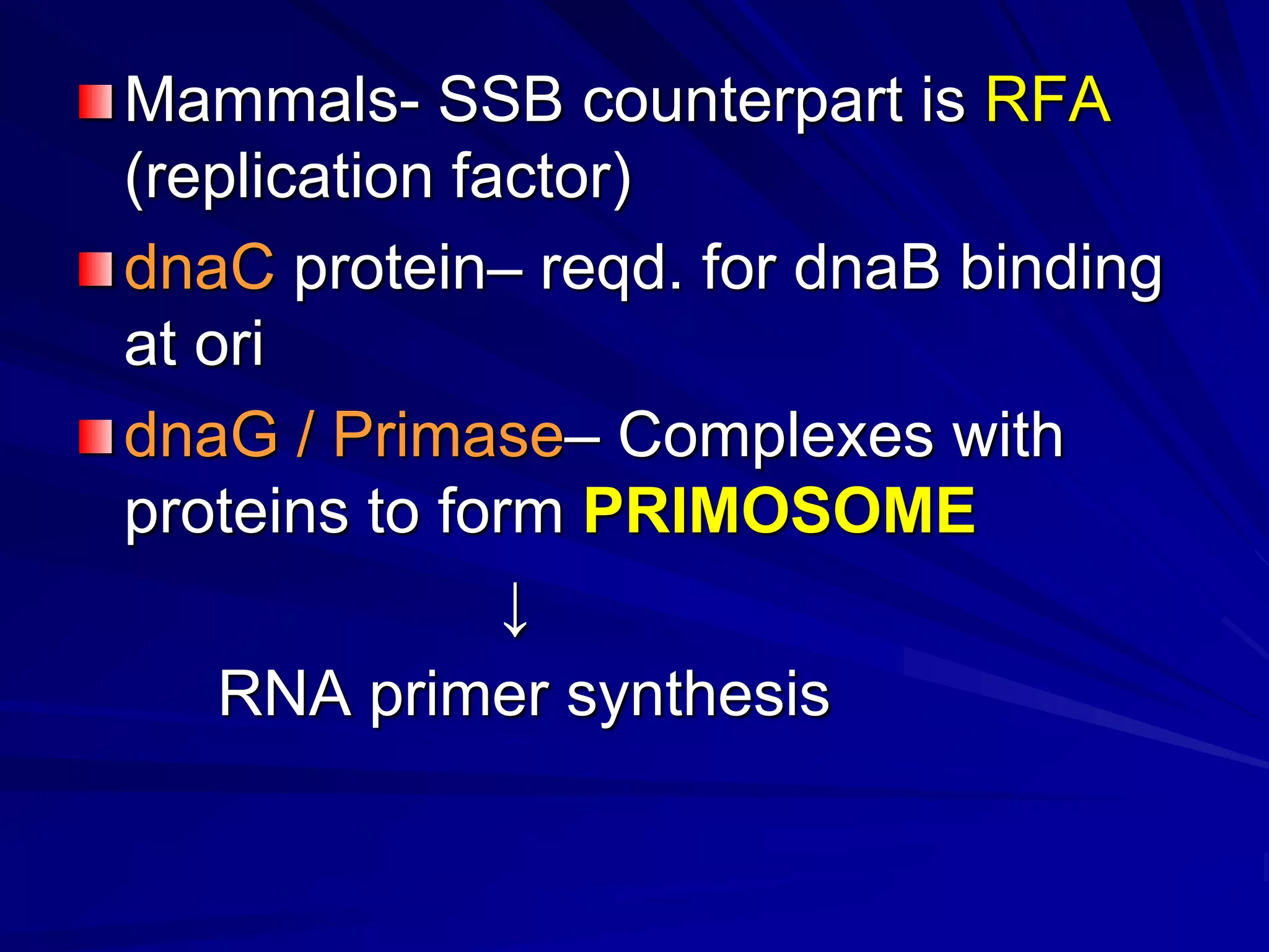 Replication of dna | PPTX