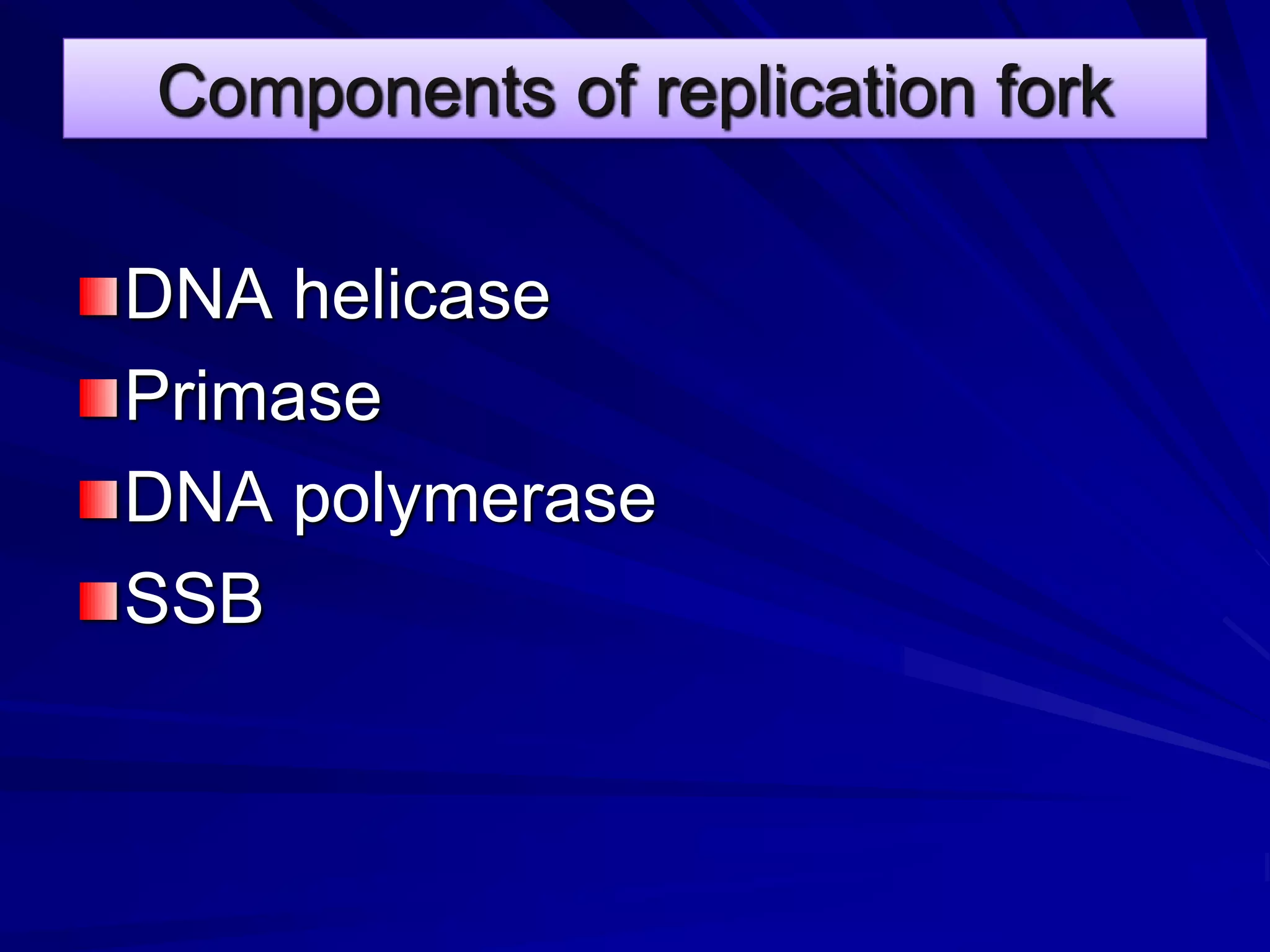 Replication of dna | PPTX