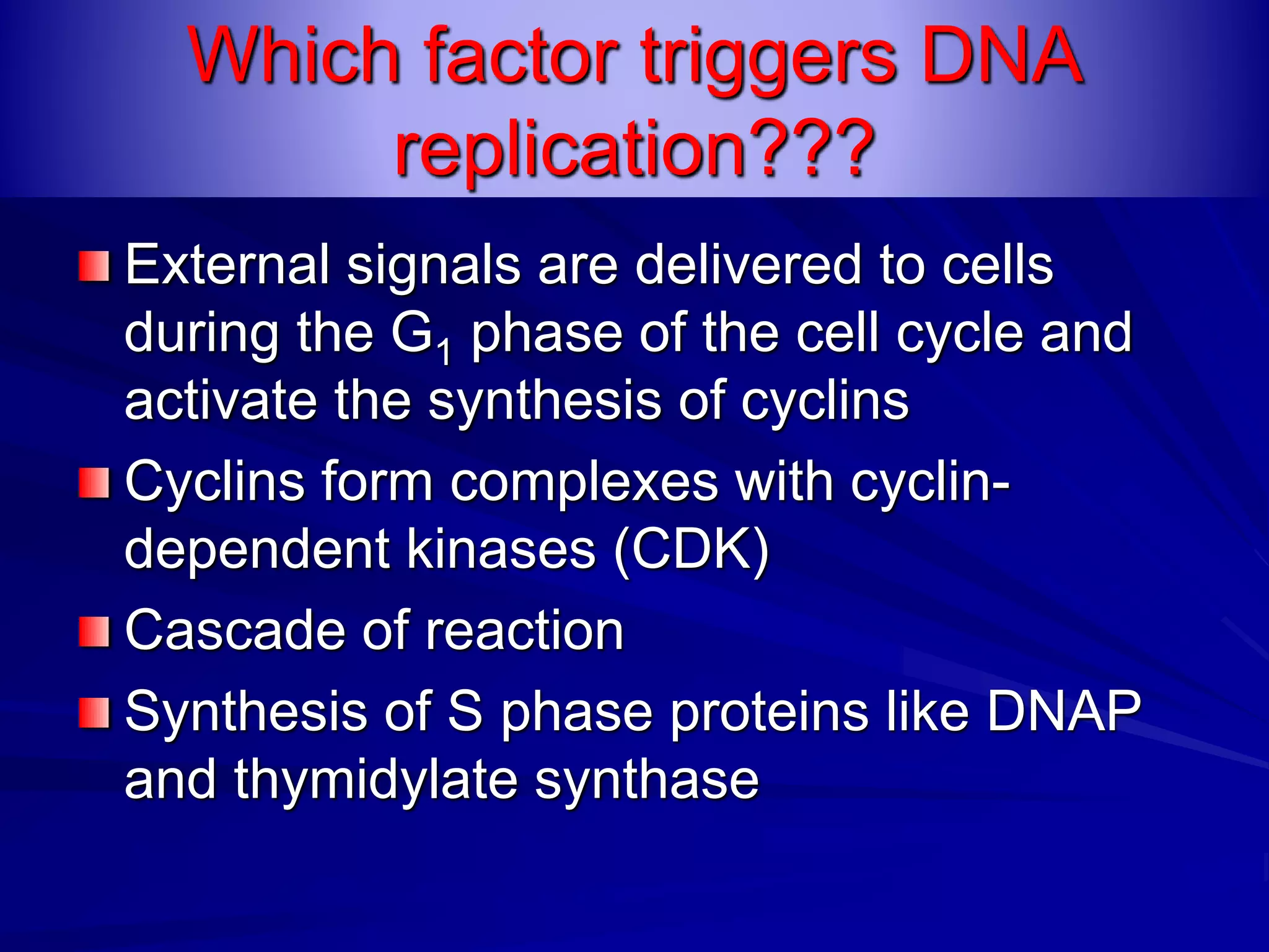 Replication of dna | PPTX