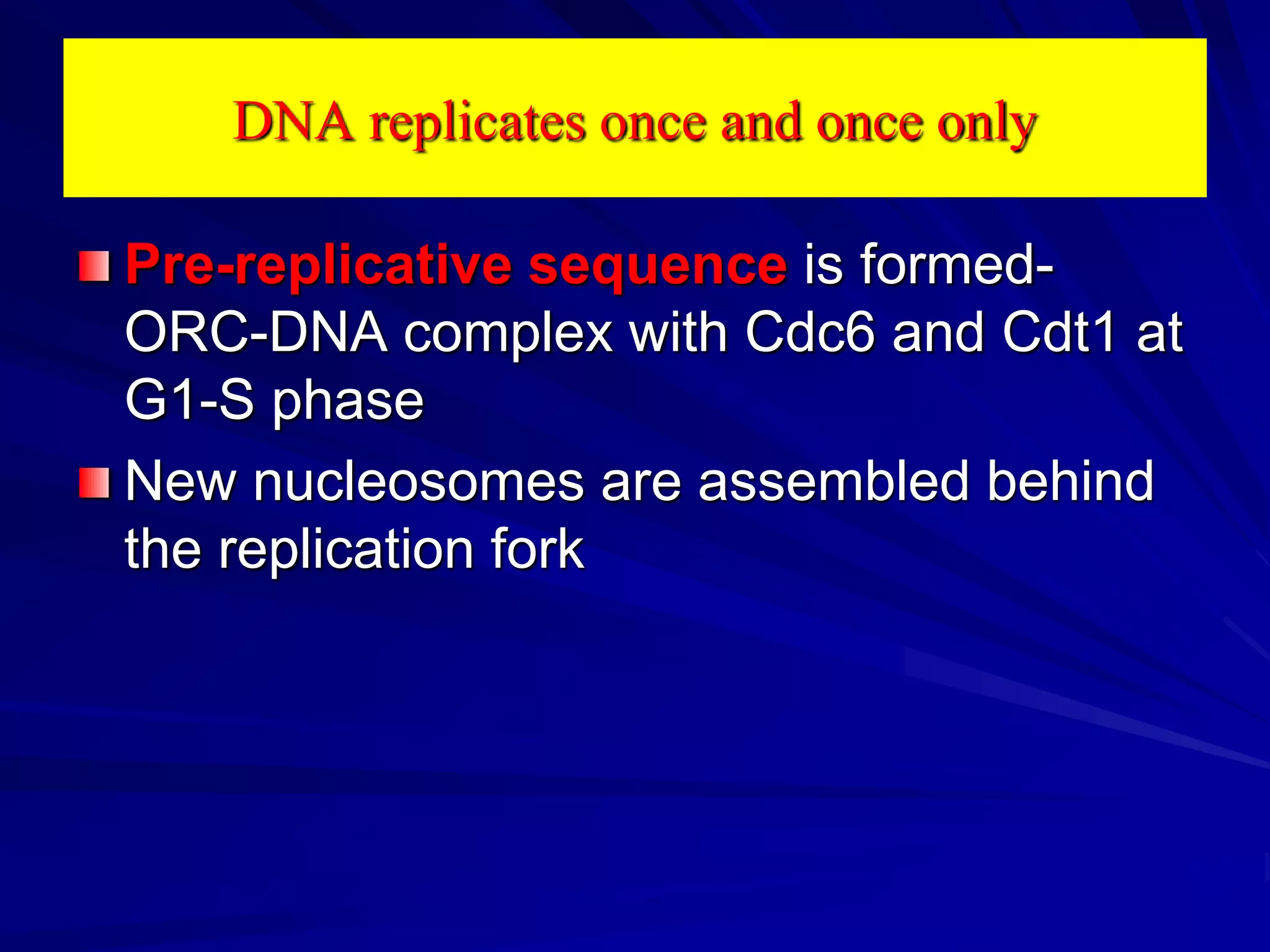 Replication of dna | PPTX
