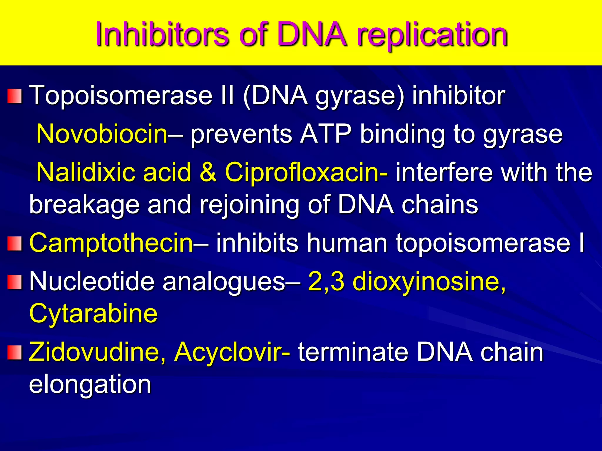 Replication Of Dna Ppt