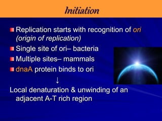 Replication of dna | PPTX