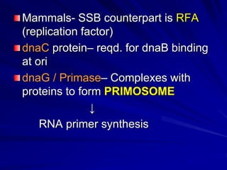 Replication of dna | PPTX