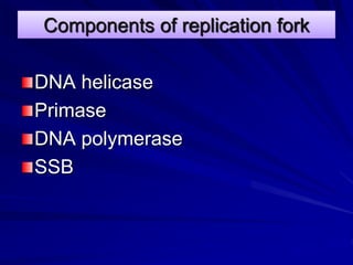 Replication of dna | PPTX