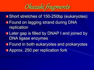 Replication of dna | PPTX