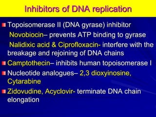 Replication of dna | PPT
