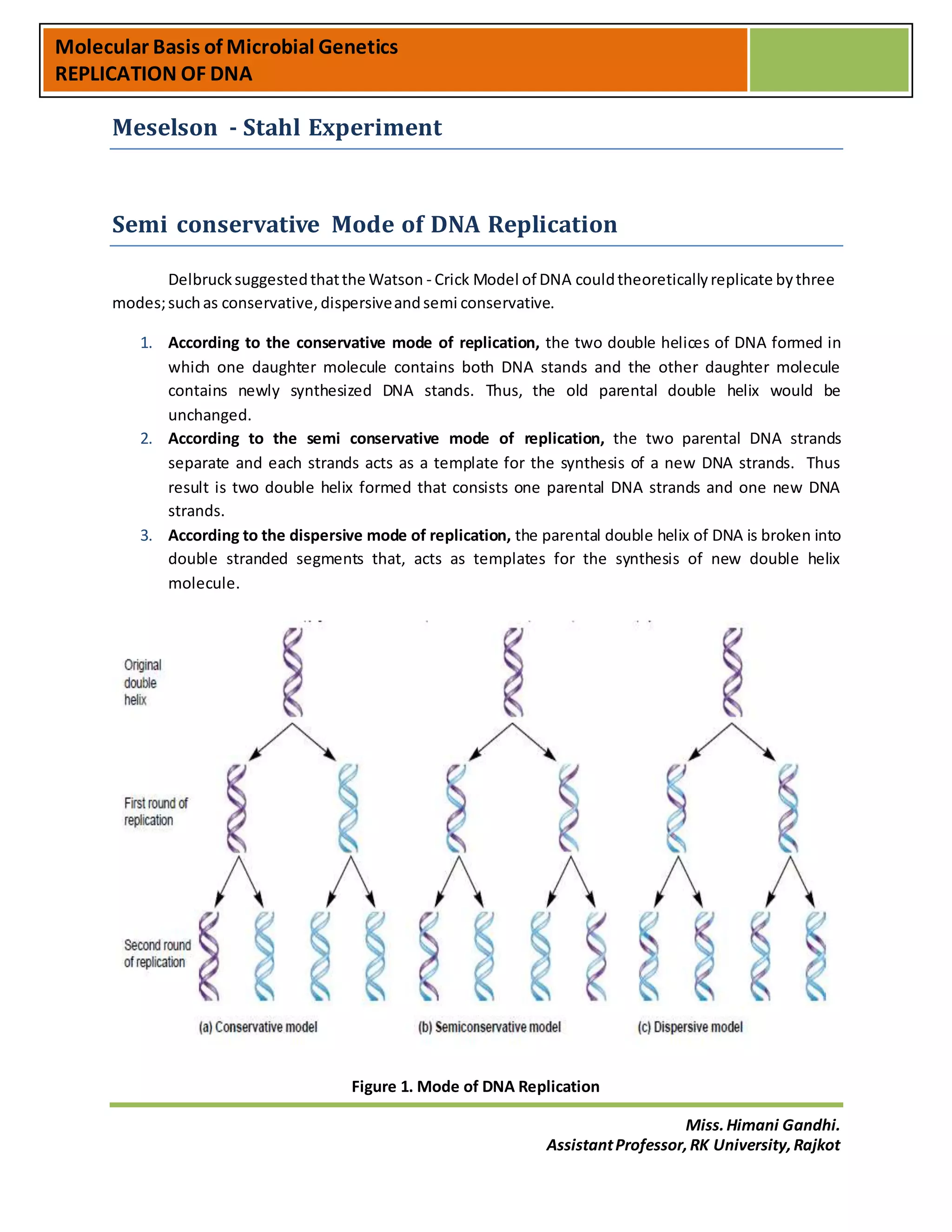Replication of dna | DOCX