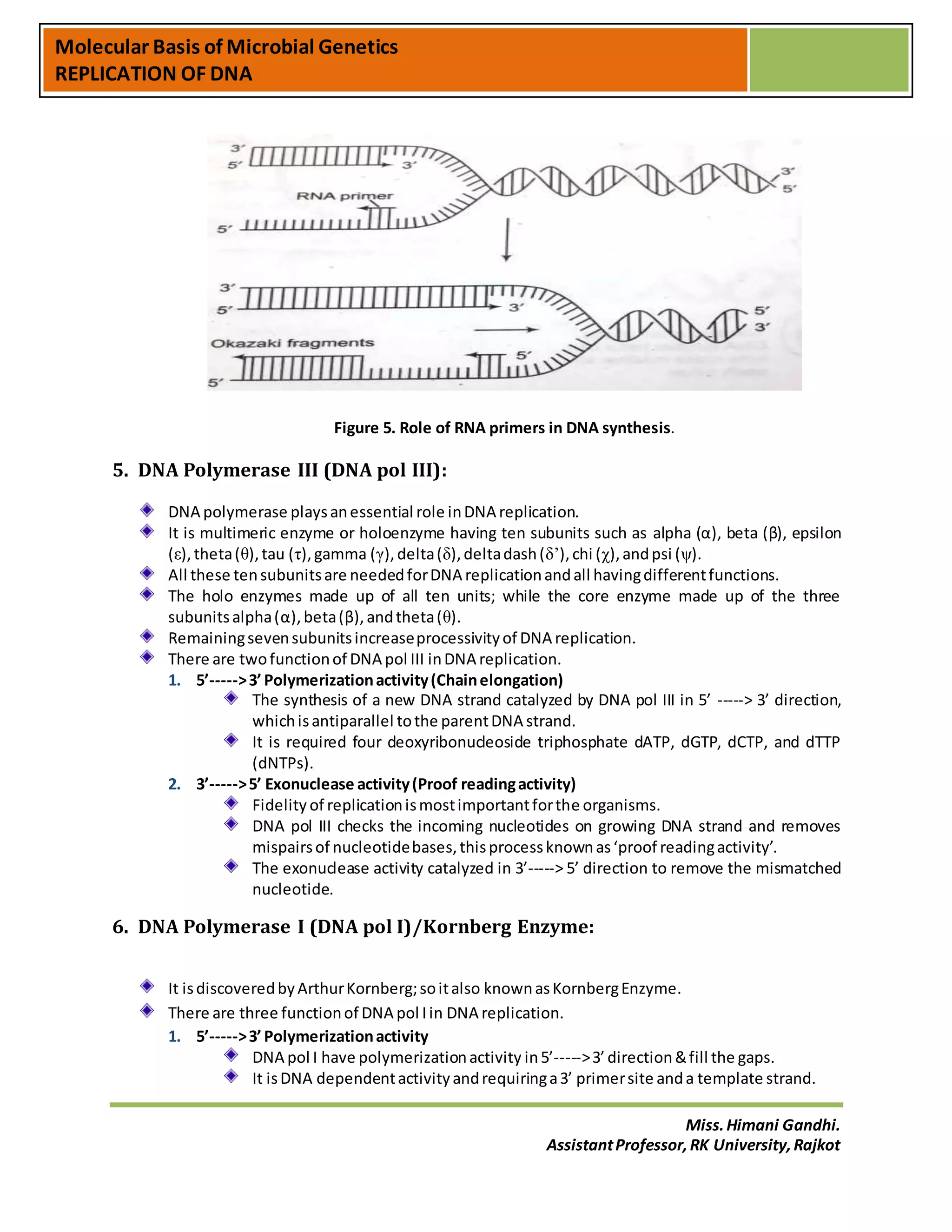 Replication of dna | DOCX