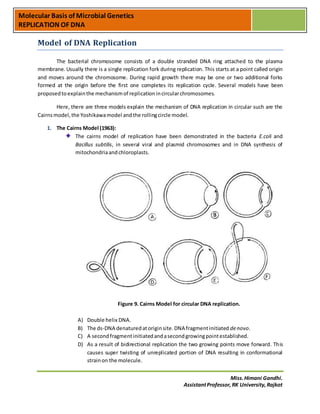 Replication of dna | DOCX