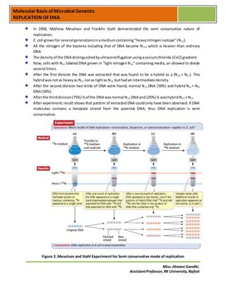 Replication of dna | DOCX