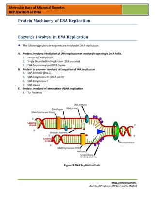 Replication of dna | DOCX