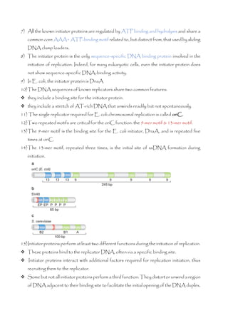 REPLICATION OF DNA.pdf