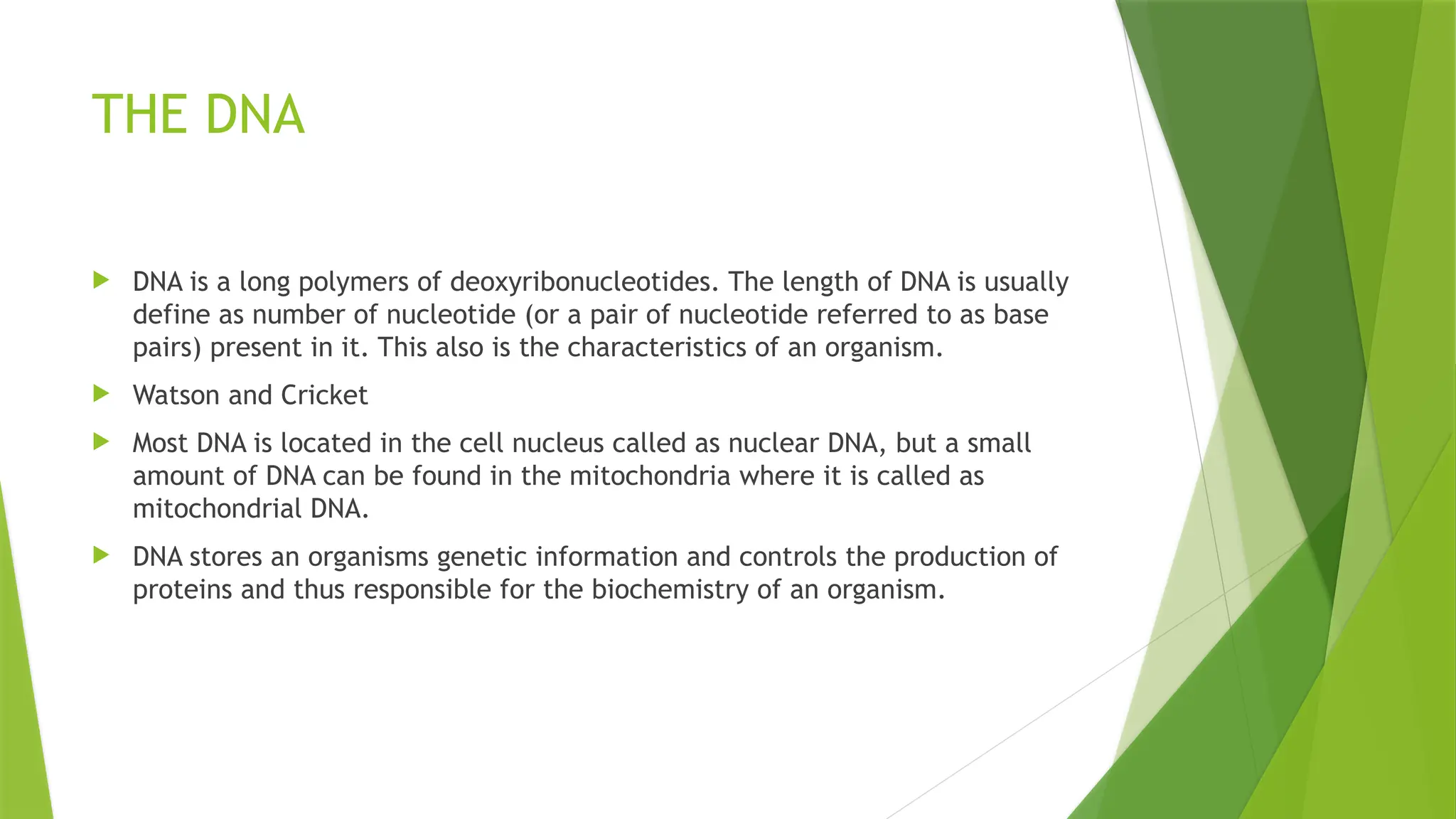 THE DNA DNA structure Replication of DNA Enzymes involved in DNA ...