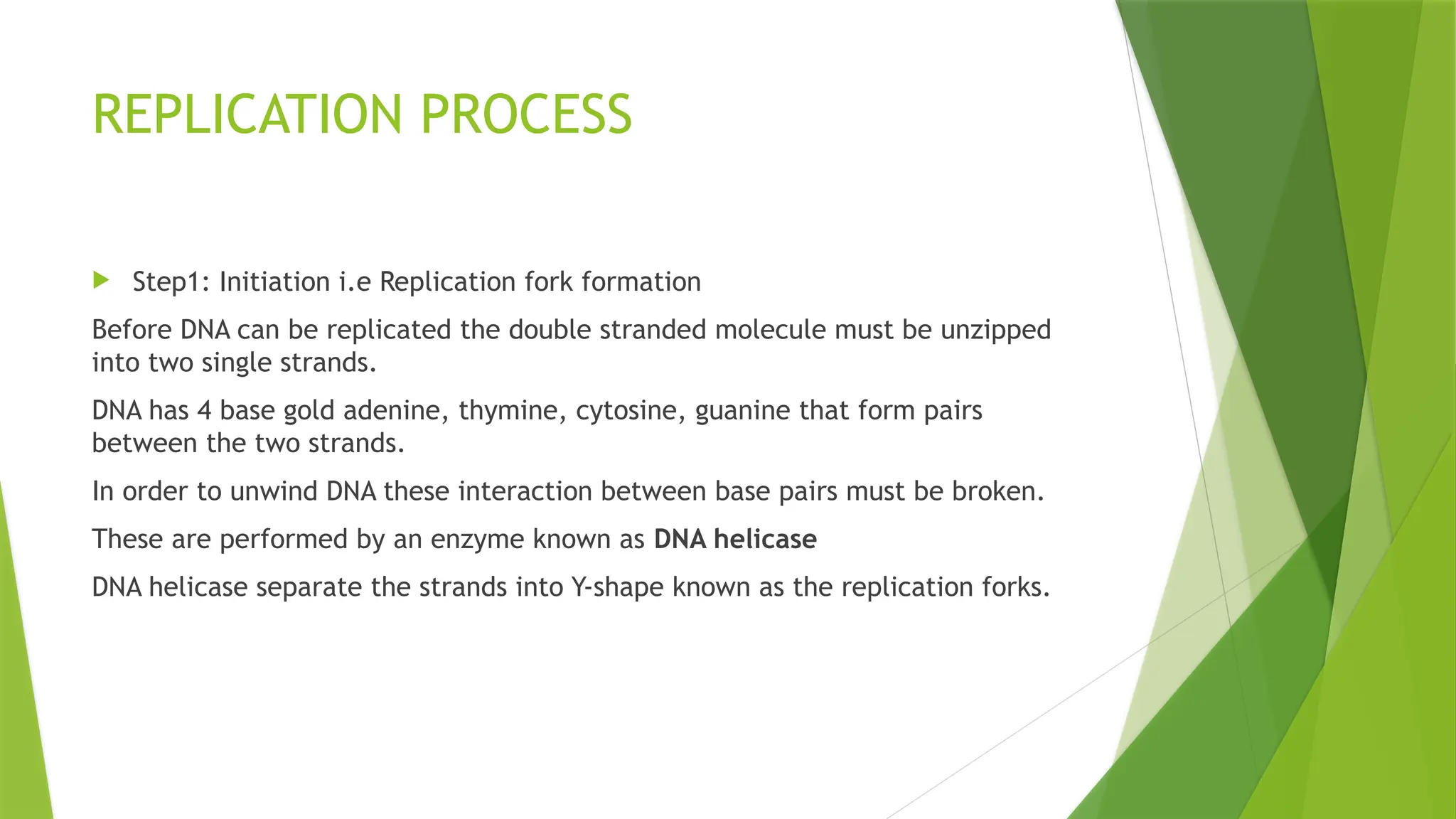 THE DNA DNA structure Replication of DNA Enzymes involved in DNA ...