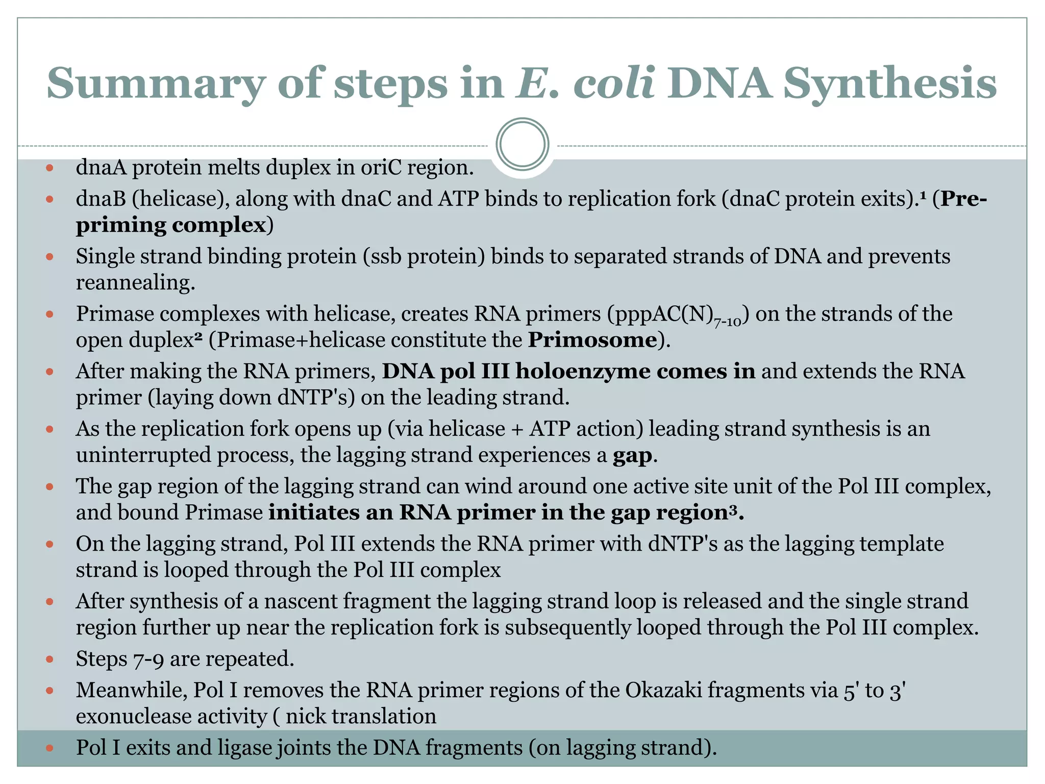 Replication of DNA in Prokaryotes.pptx
