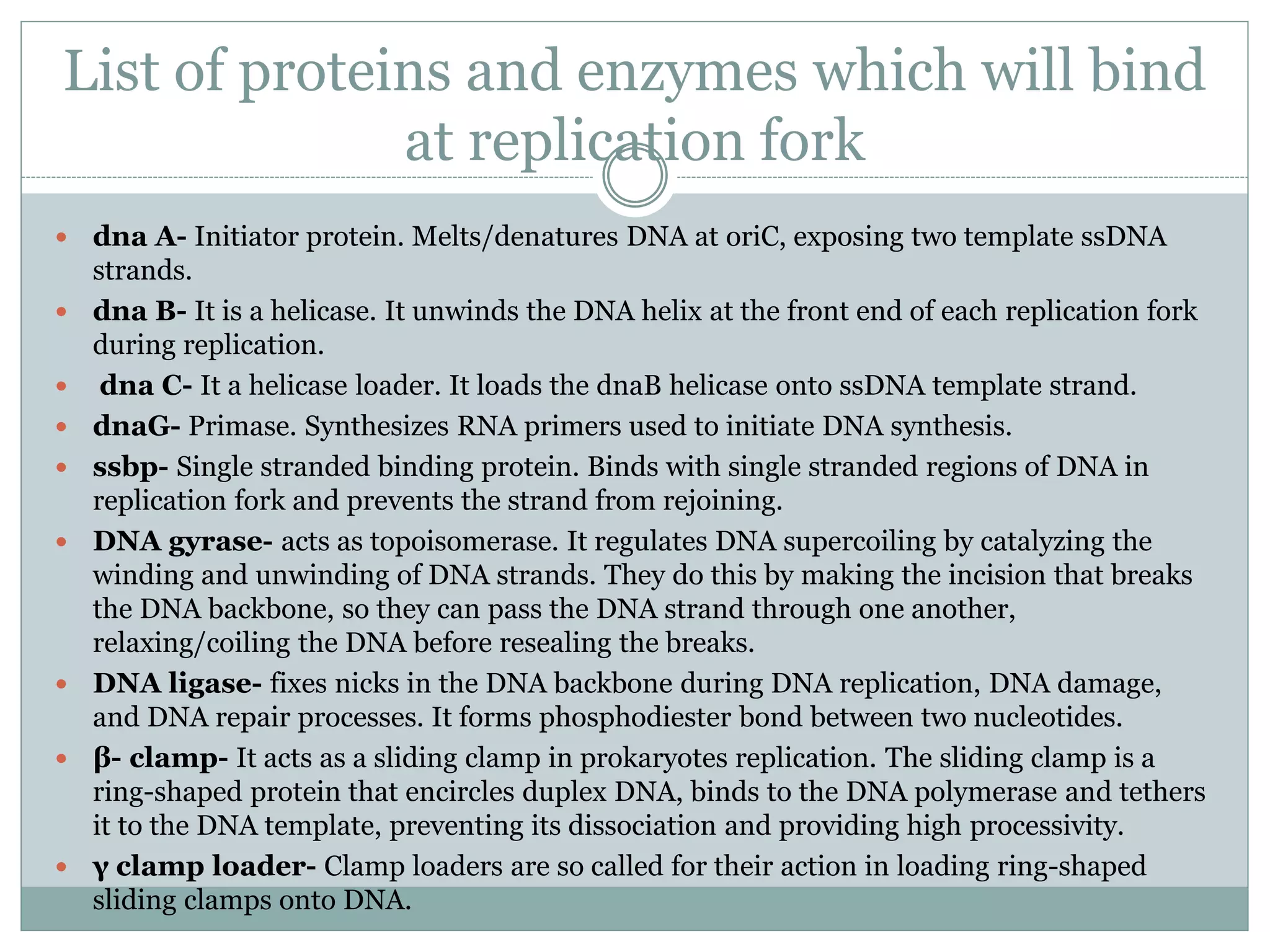 Replication of DNA in Prokaryotes.pptx