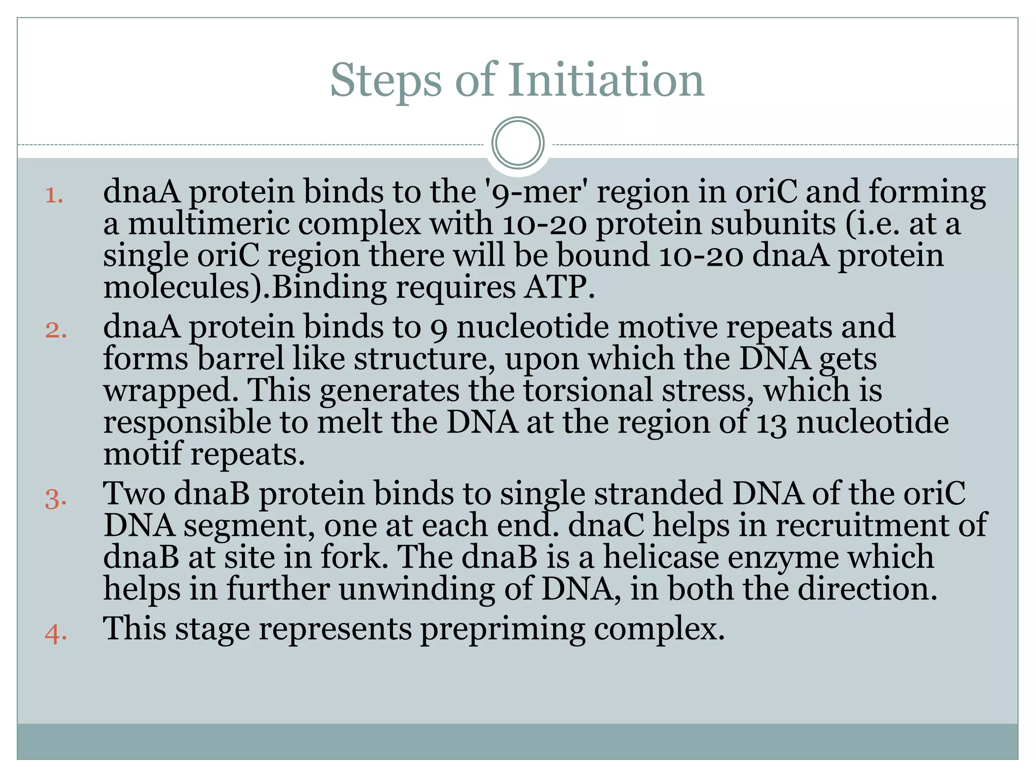 Replication of DNA in Prokaryotes.pptx