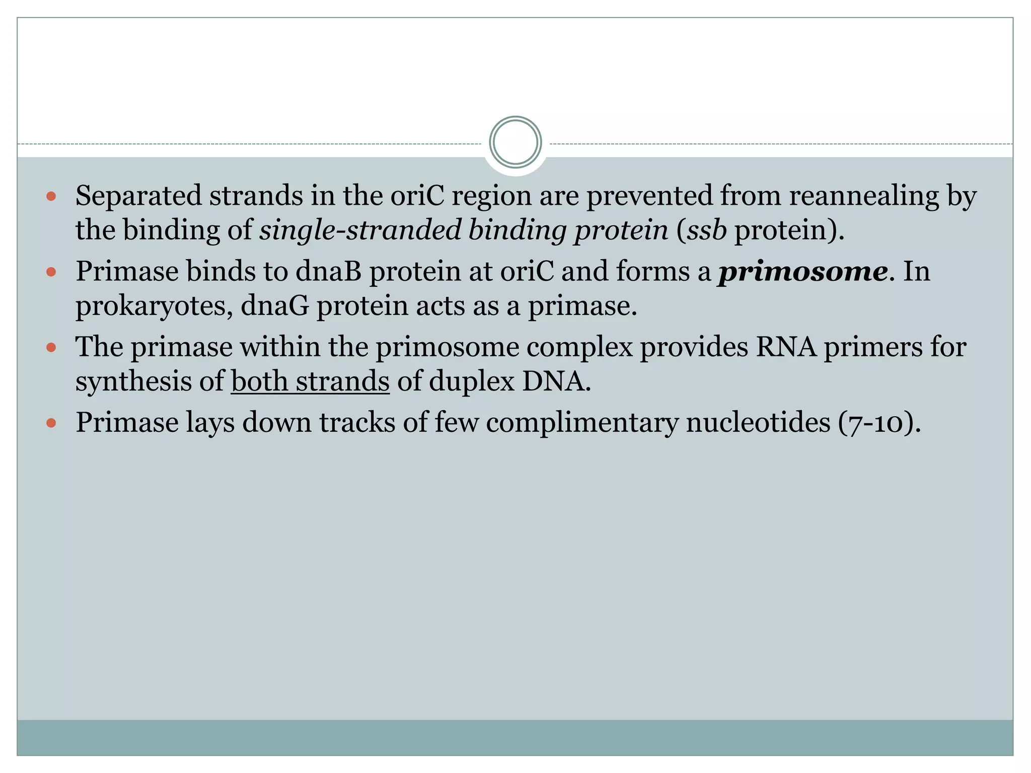 Replication of DNA in Prokaryotes.pptx