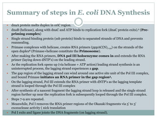 Replication of DNA in Prokaryotes.pptx