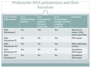 Replication of DNA in Prokaryotes.pptx