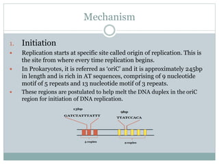 Replication of DNA in Prokaryotes.pptx