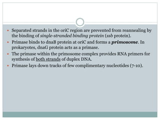 Replication of DNA in Prokaryotes.pptx