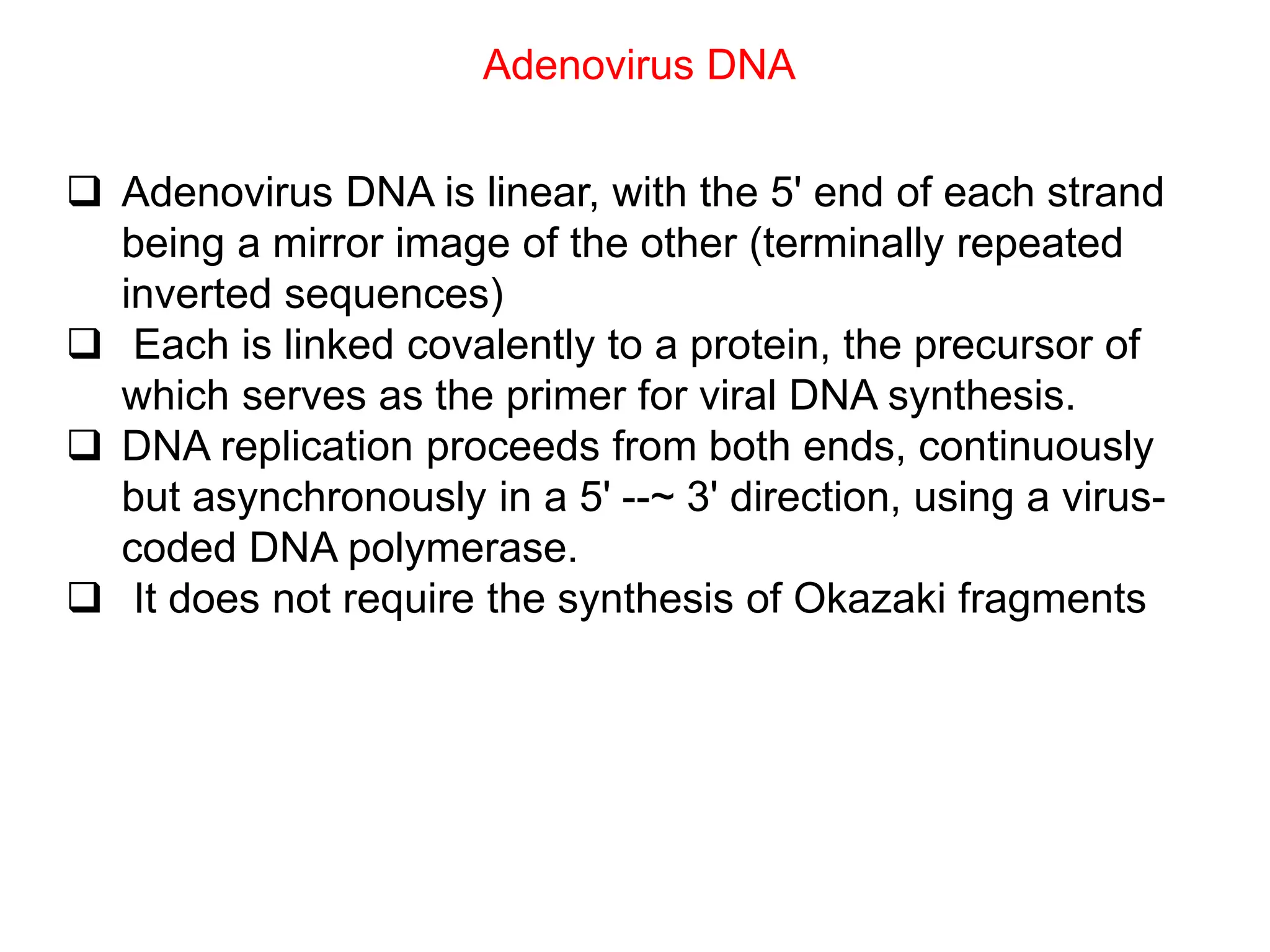 Replication of DNA viruses .ppt