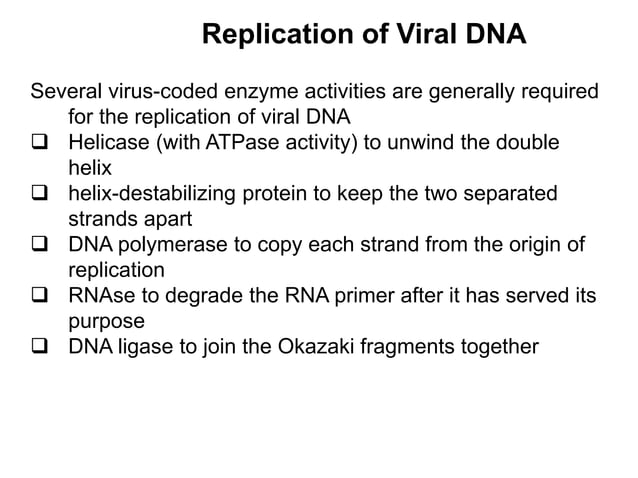 Replication of DNA viruses .ppt | Biological Sciences | Science