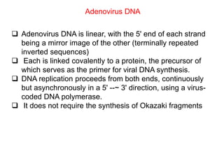 Replication of DNA viruses .ppt