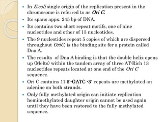 Replication of molecule of life | PPTX