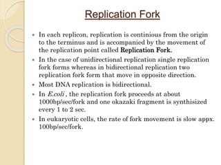 Replication of molecule of life | PPT