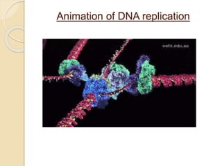 Replication of molecule of life | PPTX