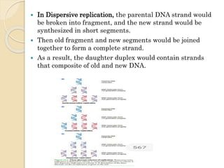 Replication of molecule of life | PPT