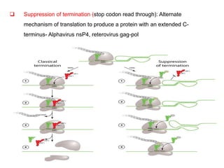Replication of RNA viruses.ppt